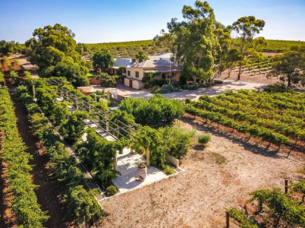 Iconic Barossa winery Greenock Creek on the market - WBM Online