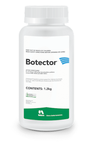 Botector fungicide – the new standard in botrytis protection for ...