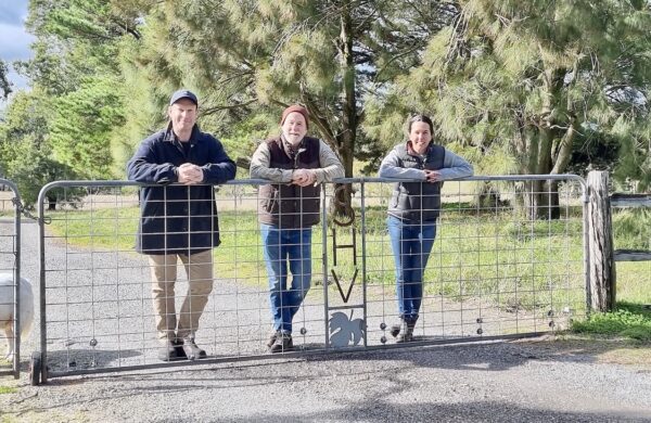 Paralian buys prime Blewitt Springs vineyard - WBM Online