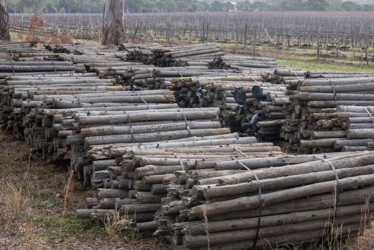 Australia's Wine Business Magazine - WBM Industry News